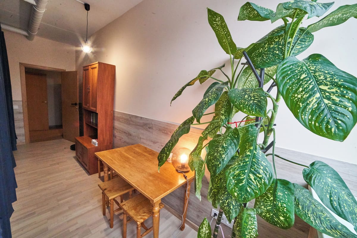 Um quarto com uma mesa de jantar de madeira, um banco, um armário e uma grande planta em vaso.