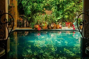 Uma piscina cercada por um jardim, com vasos de plantas e flores.