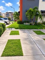 Uma área de estacionamento com vagas demarcadas, um caminho de concreto e um edifício ao fundo com uma palmeira.