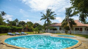 Piscina com duas espreguiçadeiras, cercada por palmeiras e um muro branco.