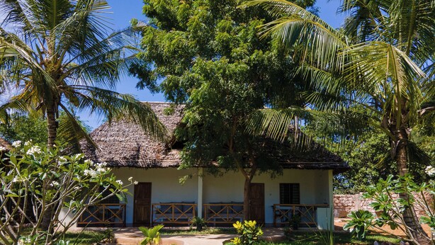 Uma casa com telhado de colmo, rodeada por vegetação exuberante e palmeiras.
