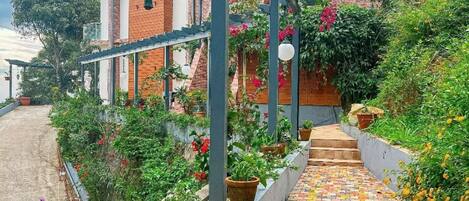 Um caminho no jardim leva a um edifício com fachada de tijolos, rodeado por diversas plantas e flores.