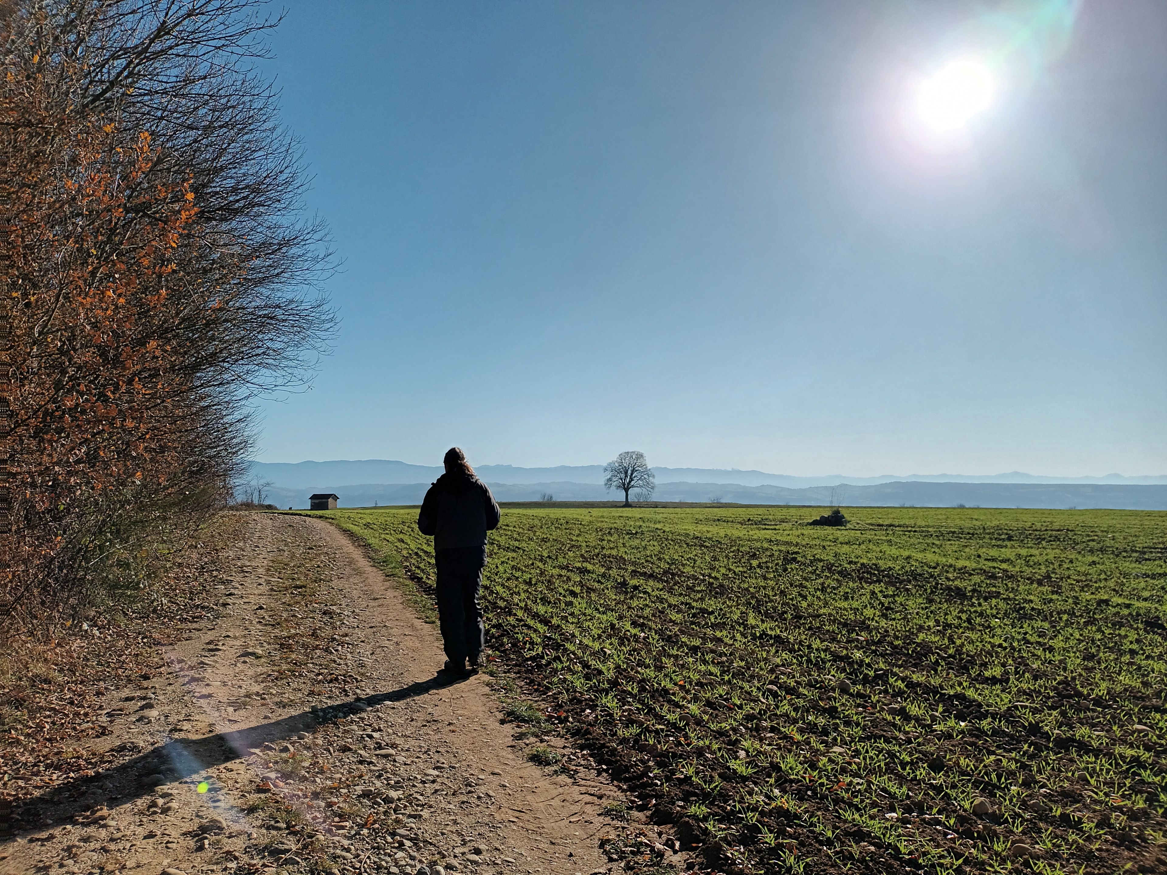 Uma pessoa caminhando por um caminho de terra em um campo, com céu aberto e montanhas ao longe.