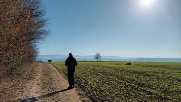 Uma pessoa caminhando por um caminho de terra em um campo, com céu aberto e montanhas ao longe.