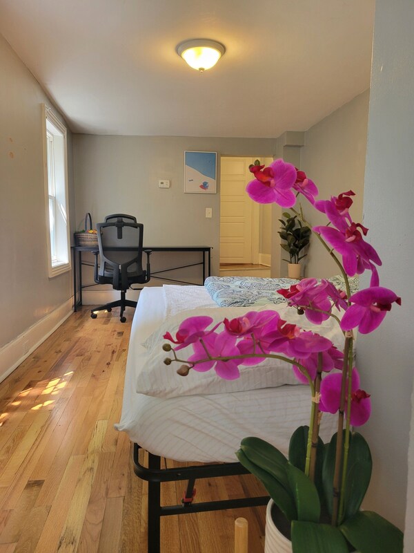 Entire House 1bd King Bed Near Downtown - Baltimore, MD