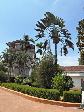 Vista para o jardim