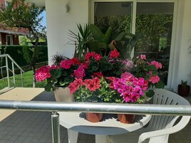 Varanda com plantas e flores em vasos, grade de metal e vista para um edifício com janela.