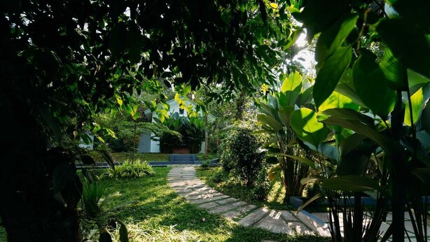 Um caminho serpenteia por um jardim exuberante, repleto de plantas e árvores.