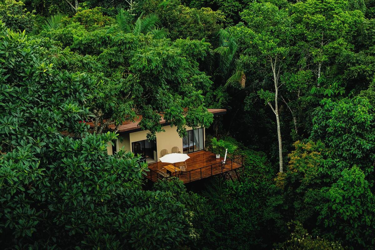 Uma cabana isolada cercada por uma floresta densa, com um deck de madeira e uma varanda pequena.