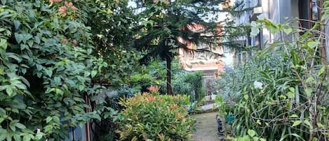 Jardim
