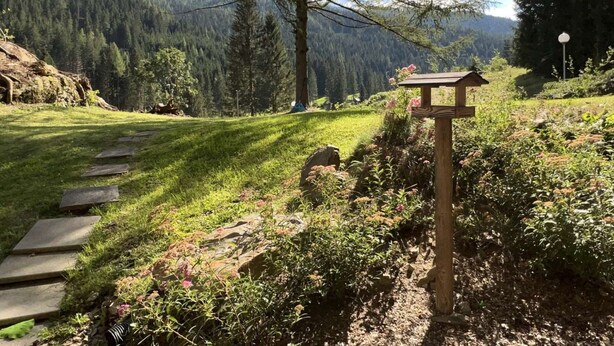 Uma casa de passarinhos de madeira num poste em um jardim, com um caminho de pedra passando por ele.