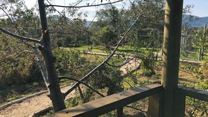 Um deck de madeira com vista para um jardim e uma área cercada.