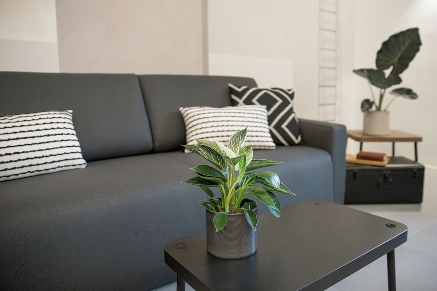 Luxurious Apartment In The Center Of Metropolitan Rome 70 Meters - Rome