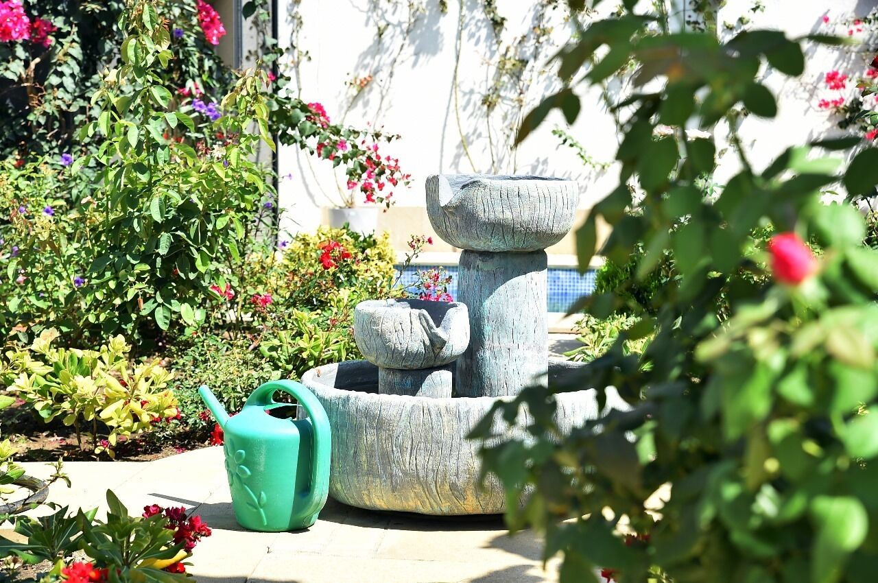 Um jardim com uma fonte de pedra e um regador verde.