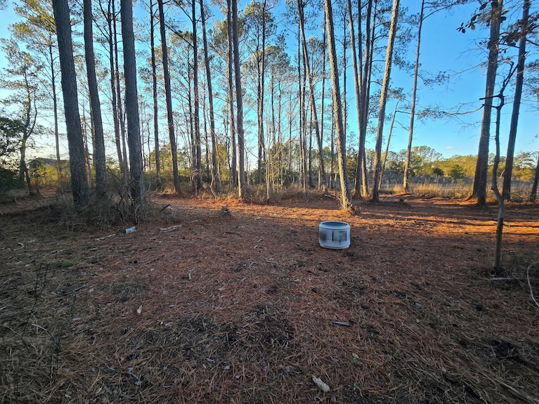 Campsite #4 At Blanchard Farm - Virginie