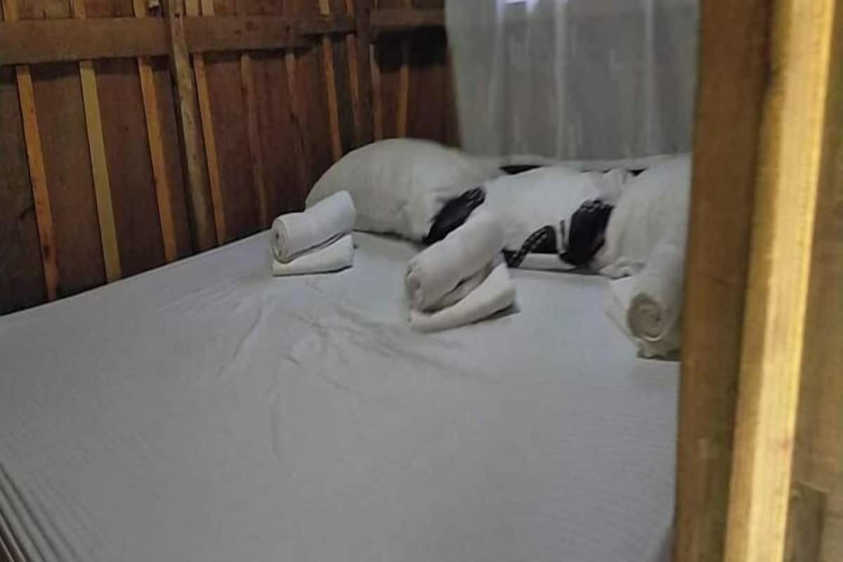 1 quarto, escrivaninha, ferros/tábuas de passar roupa, Wi-Fi de cortesia