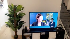 Uma televisão sobre um suporte preto, com um vaso de planta ao lado.