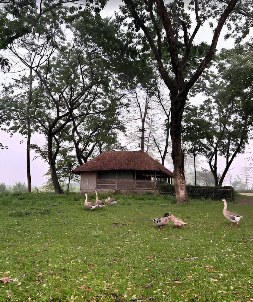 Dhansiri Eco Camp By Grb - Nagaland