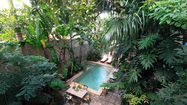Terraço/pátio interior