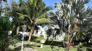 Jardim