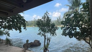 Vista de um lago calmo com árvores e uma praia arenosa.