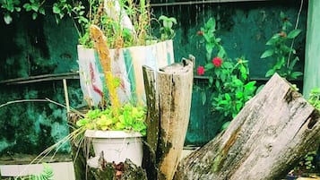 Vista para o jardim