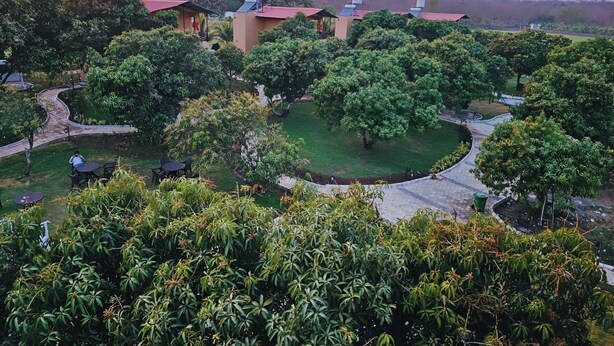 Um pátio com gramado central, rodeado por árvores e edifícios com telhados vermelhos.