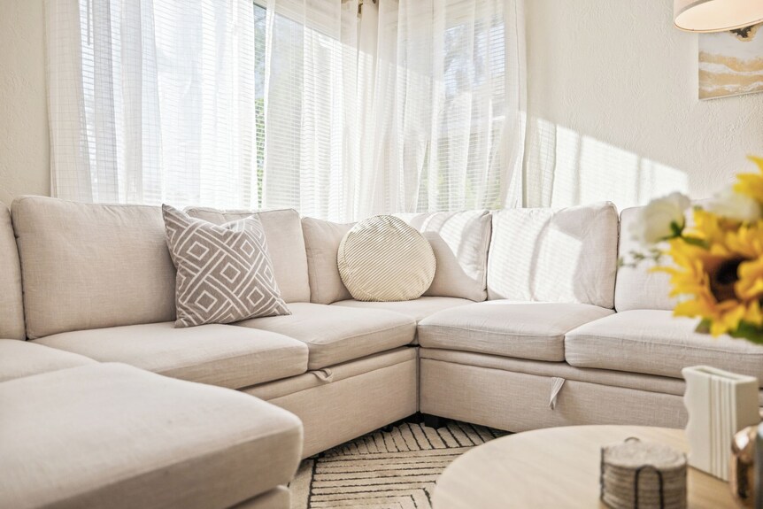 Citrus Grove Retreat: Fun, Relaxation, & Sunshine - 3bdr 2ba - Tampa, FL