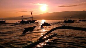 Um pôr do sol sobre a água, com barcos e golfinhos.