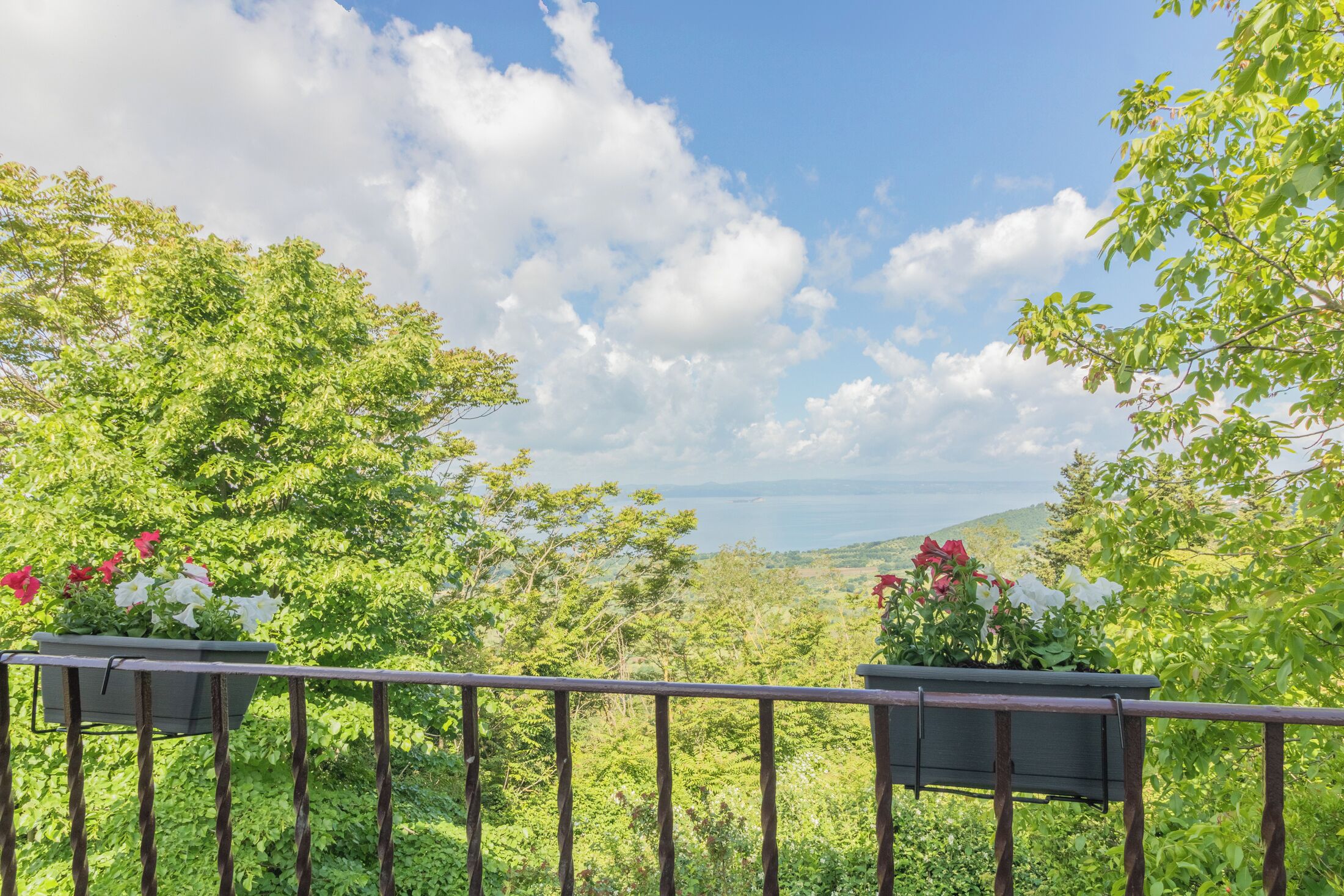 Suite Superior, vista para o lago | Terraço/pátio interior