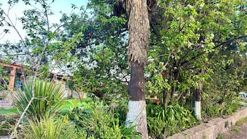 Terrenos do alojamento