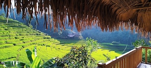 Vista do alojamento