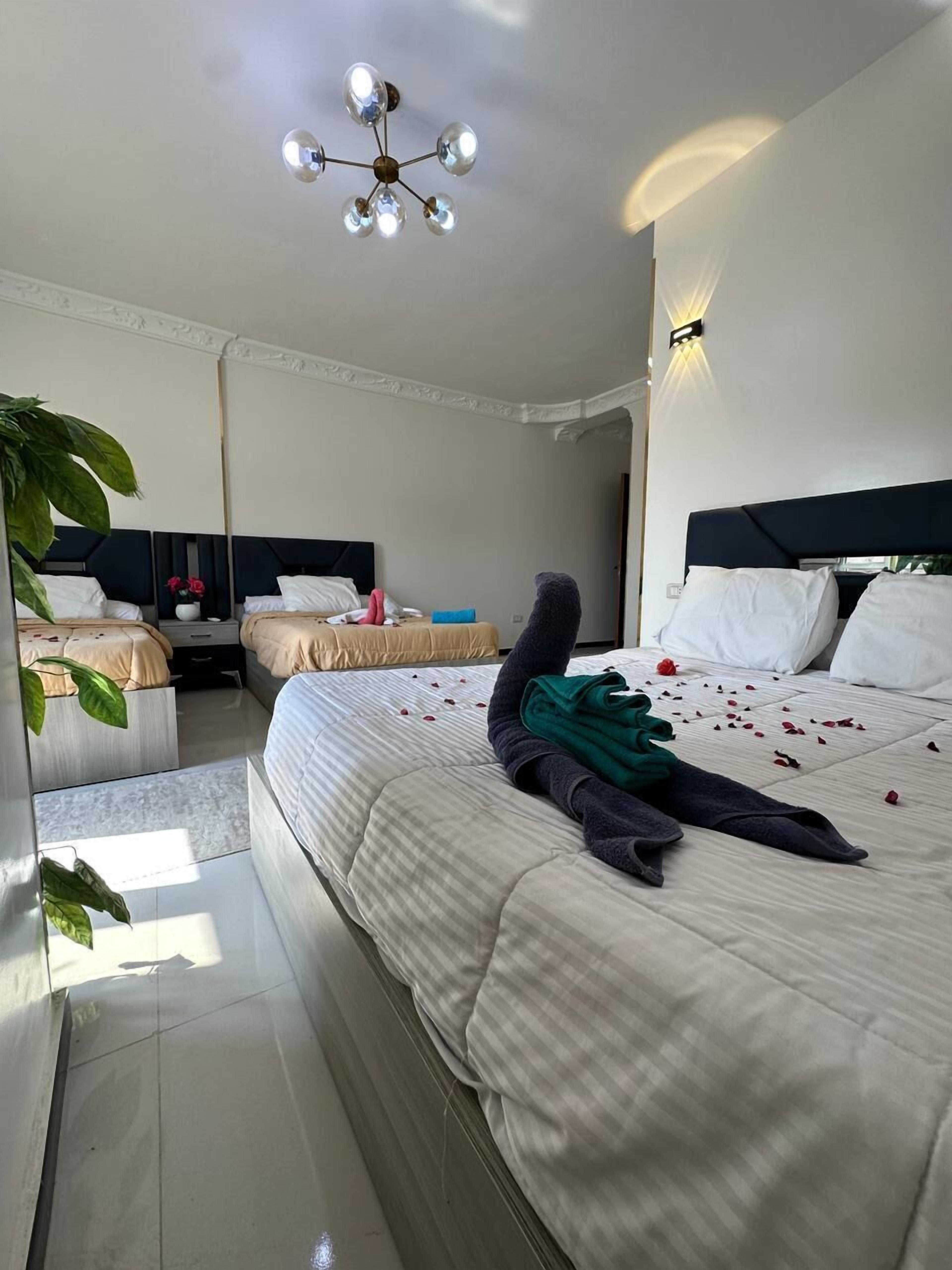 Roupas de cama de algodão egípcio, roupas de cama premium