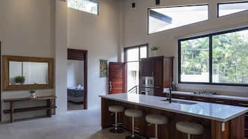 Apartamento de Luxo, 2 quartos | Cozinha privada | Um frigorífico/congelador grande, um micro-ondas, um forno