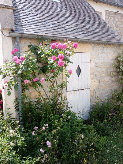 Rose Garden Bayeux