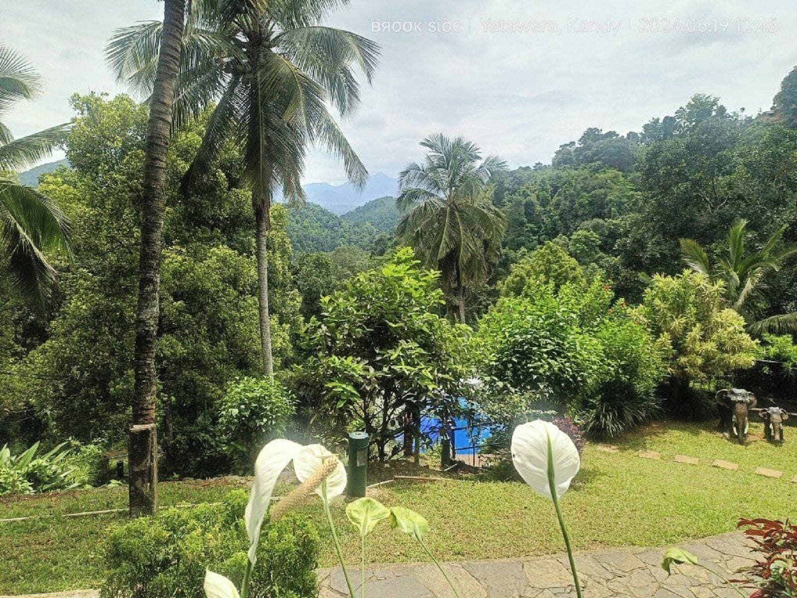Quarto Duplo, pátio, vista para a montanha | Vista para o jardim