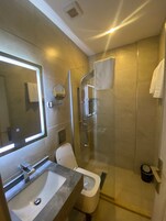 Uma casa de banho moderna com chuveiro envidraçado, sanita e lavatório com espelho.