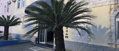 Um edifício com fachada de pedra, janelas em arco e uma palmeira em um vaso azul.