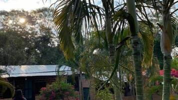 Um jardim com palmeiras, um banco de madeira e um edifício de tijolos com telhado de metal.
