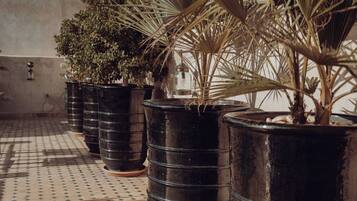 Terraço/pátio interior