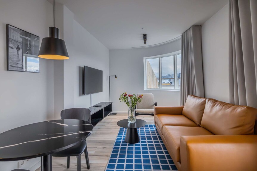 Deluxe Cityview One Bedroom Apartment With Balcony - IJsland