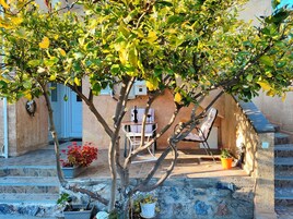 Um espaço de pátio com uma árvore, mobiliário de exterior e plantas em vasos.