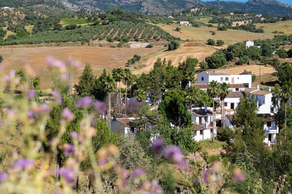 Málaga Sierra De Las Nieves Real Spain Adults Recommended - Provincia de Málaga, España