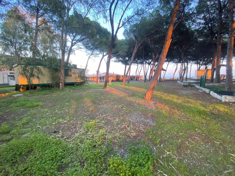 Camping Surrounded By Nature Within Walking Distance From The Sea - Calabria