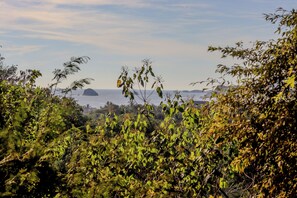 Vista para a praia ou o mar