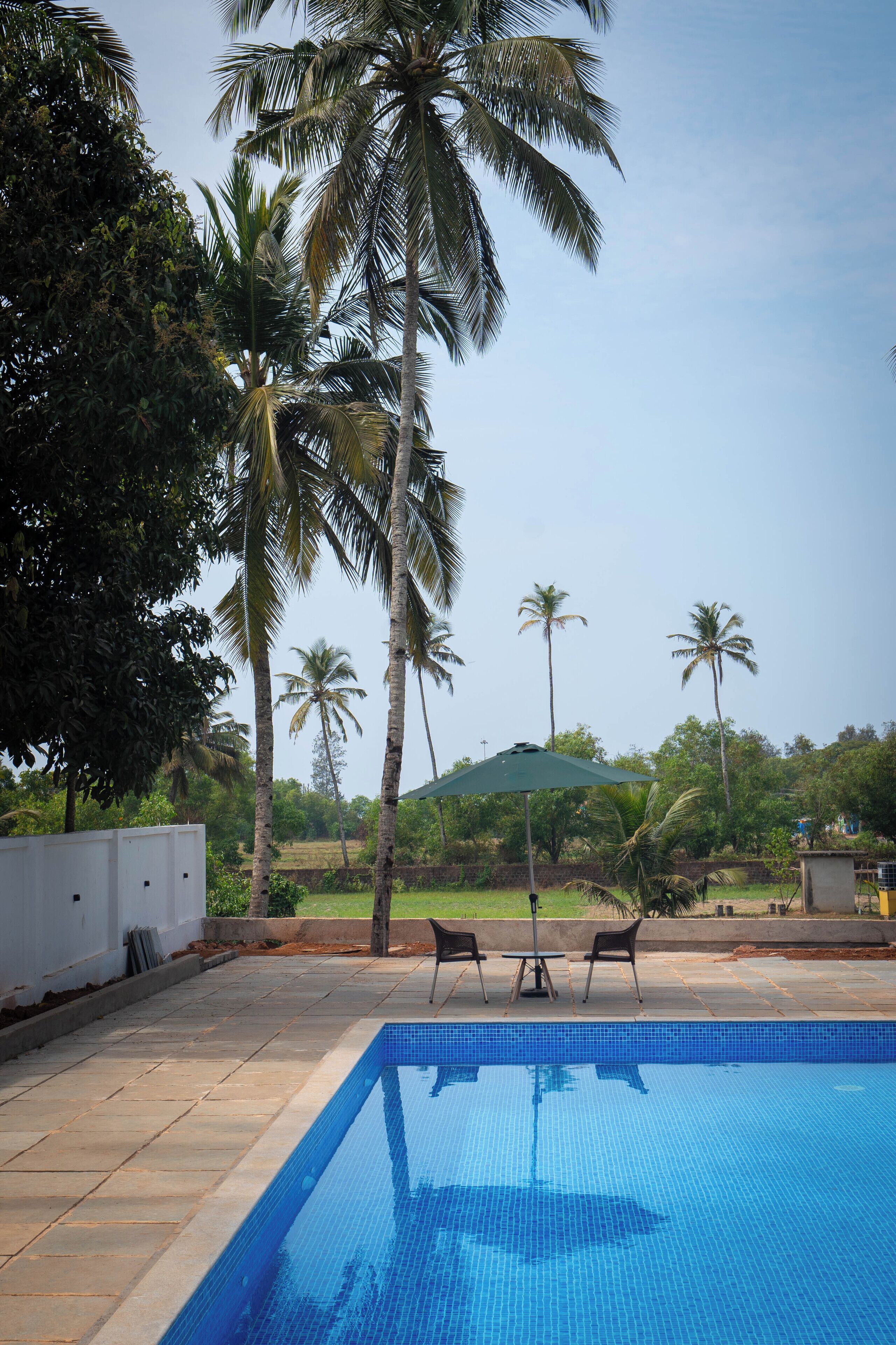 Piscina com borda azulejada, cercada por palmeiras e uma área gramada.