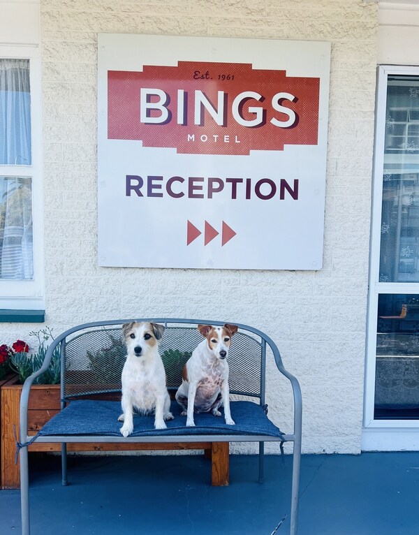 Bings Motel - Blenheim