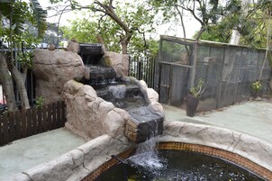 Uma cascata rochosa com uma pequena piscina na base, cercada por uma cerca de madeira e um compartimento de metal.