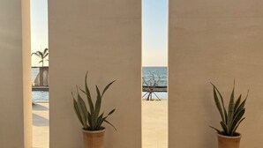Duas plantas grandes em vasos na frente de uma parede com três janelas verticais.