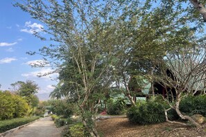 Uma trilha serpenteia por um jardim com diversas árvores e arbustos, um edifício com telhado verde e um céu azul límpido.